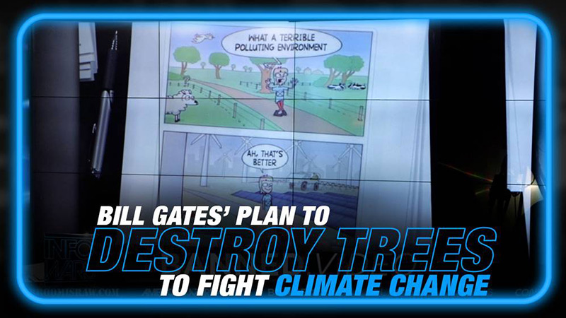Bill Gates is funding a scheme to cut down and bury trees to “reduce ...